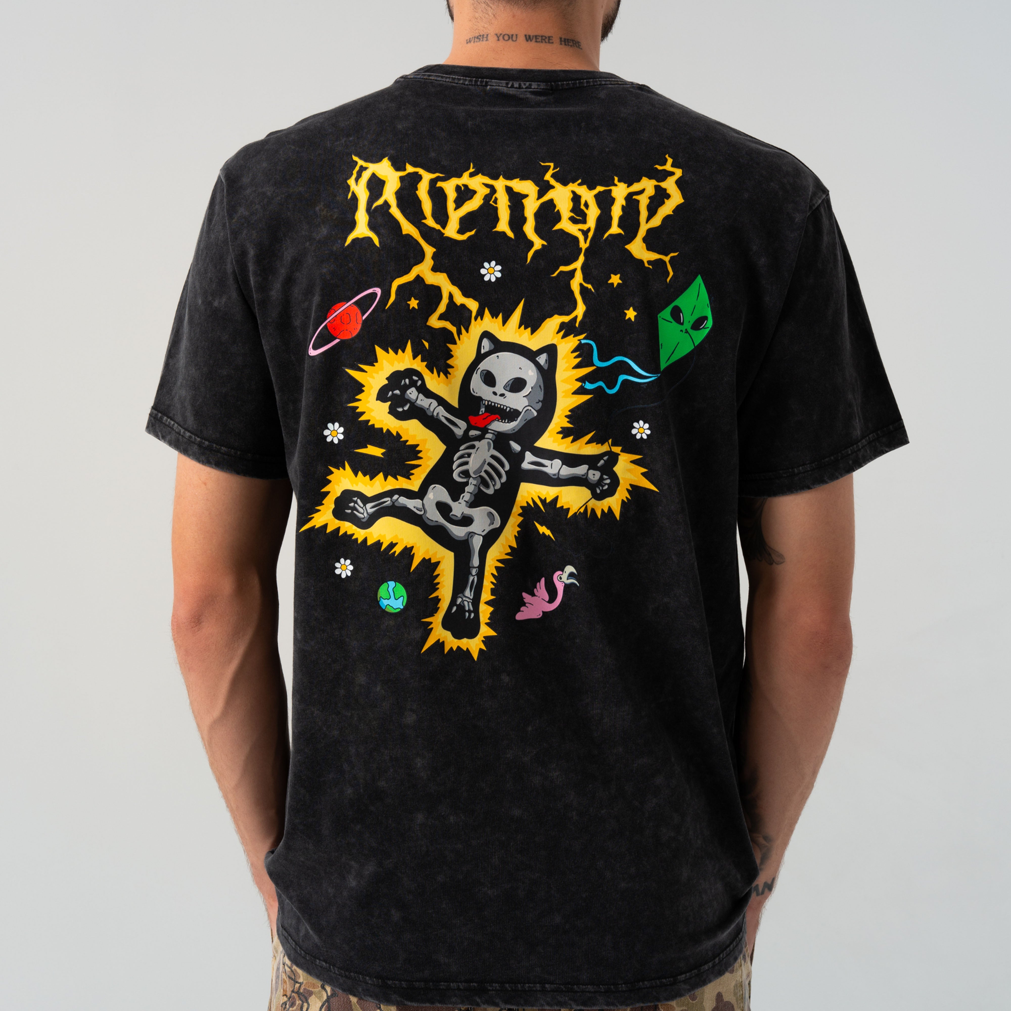RIPNDIP Brasil Oficial - Vestuário, Acessórios, Skate & Lord Nermal